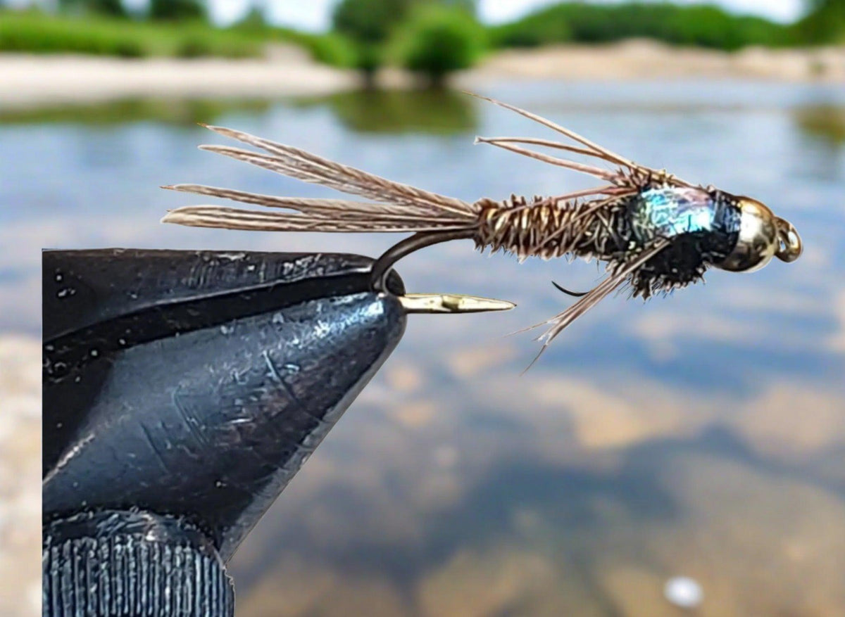 GBFlashbackPheasantTail_1200x1200.jpg?v=1724284376