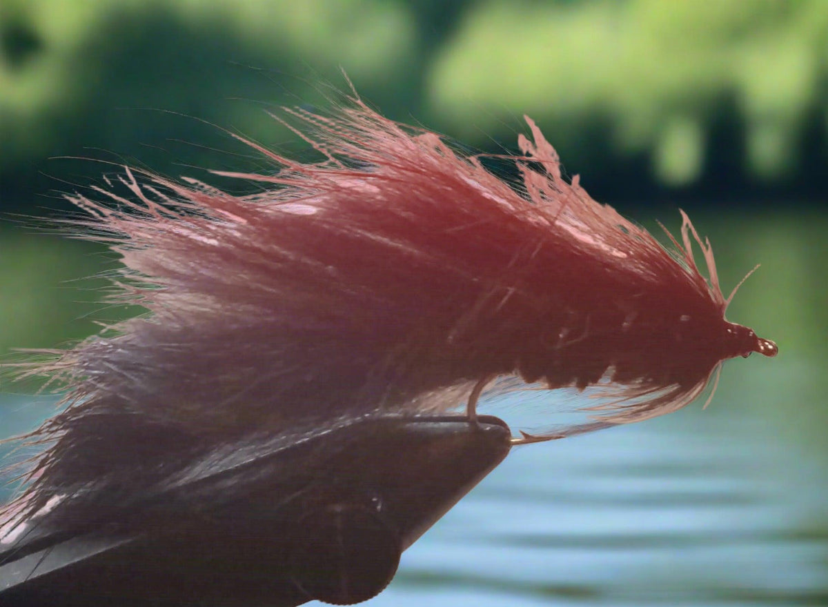 BlackRabbit_InPixio_1200x1200.jpg?v=1724284451