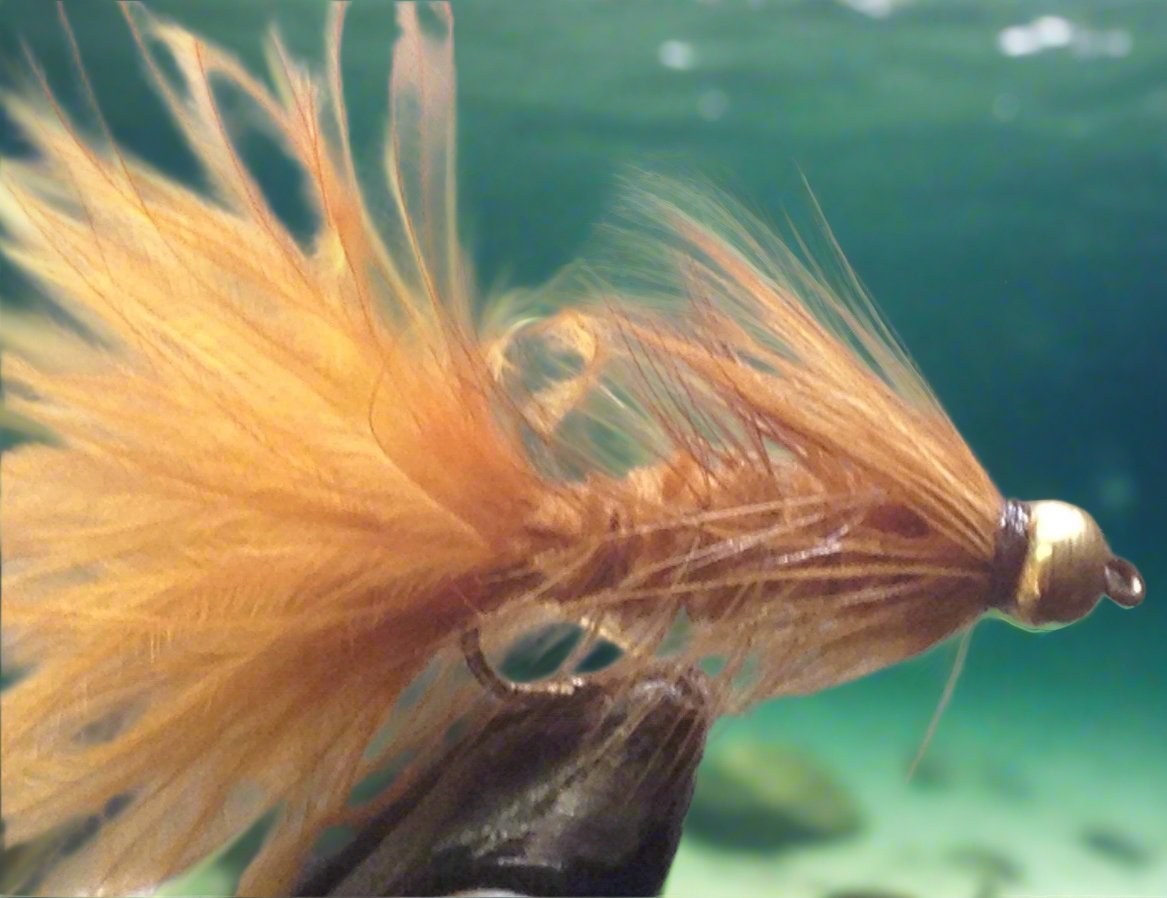 BuggerBrownGB_InPixio_b52f9ba1-ee66-4250-93d8-10721f5324a8_1200x1200 ...