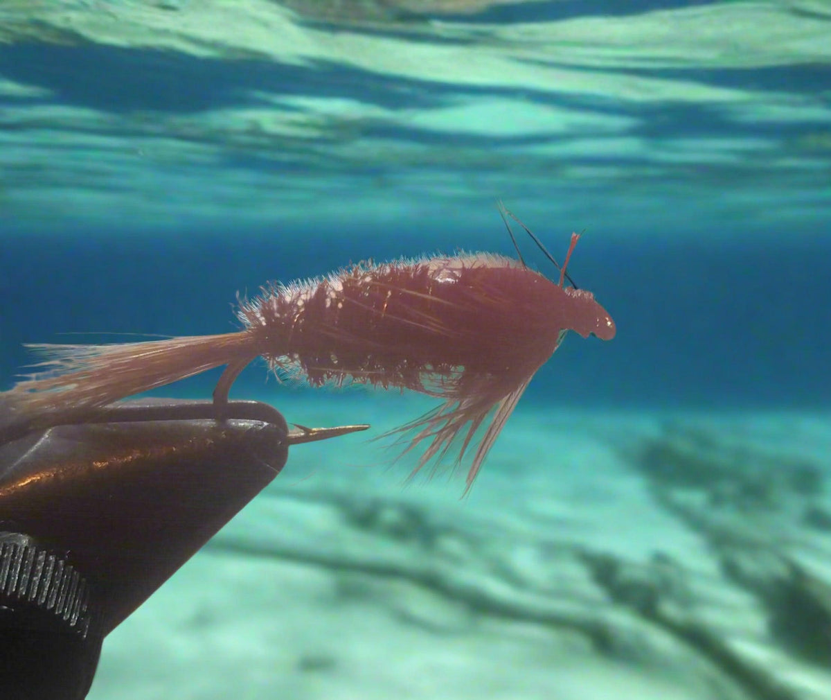 HalfBack_InPixio_eeb03381-fbc2-46a7-8b57-b27b04a1ec15_1200x1200.jpg?v ...