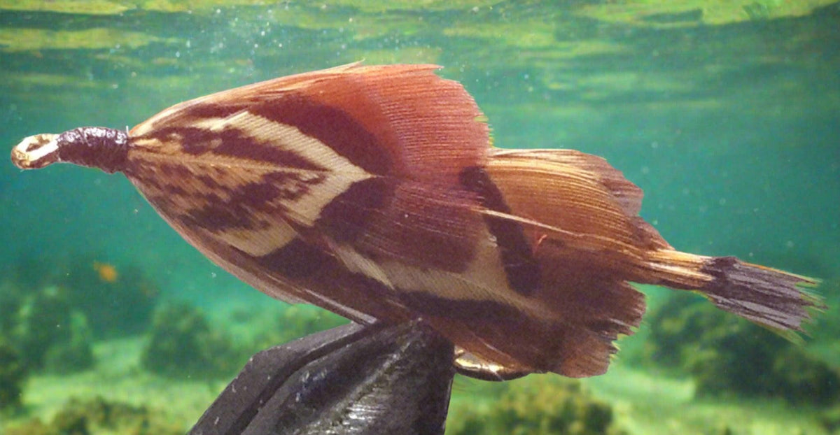 MrsSimpson_InPixio_1200x1200.jpg?v=1724284198