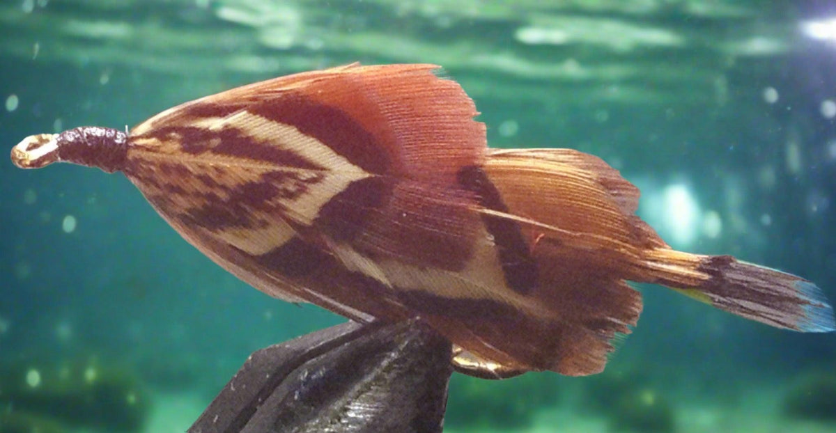 MrsSimpson_InPixio_fd6774f3-382d-4524-92bd-9566d09eae5a_1200x1200.jpg?v ...