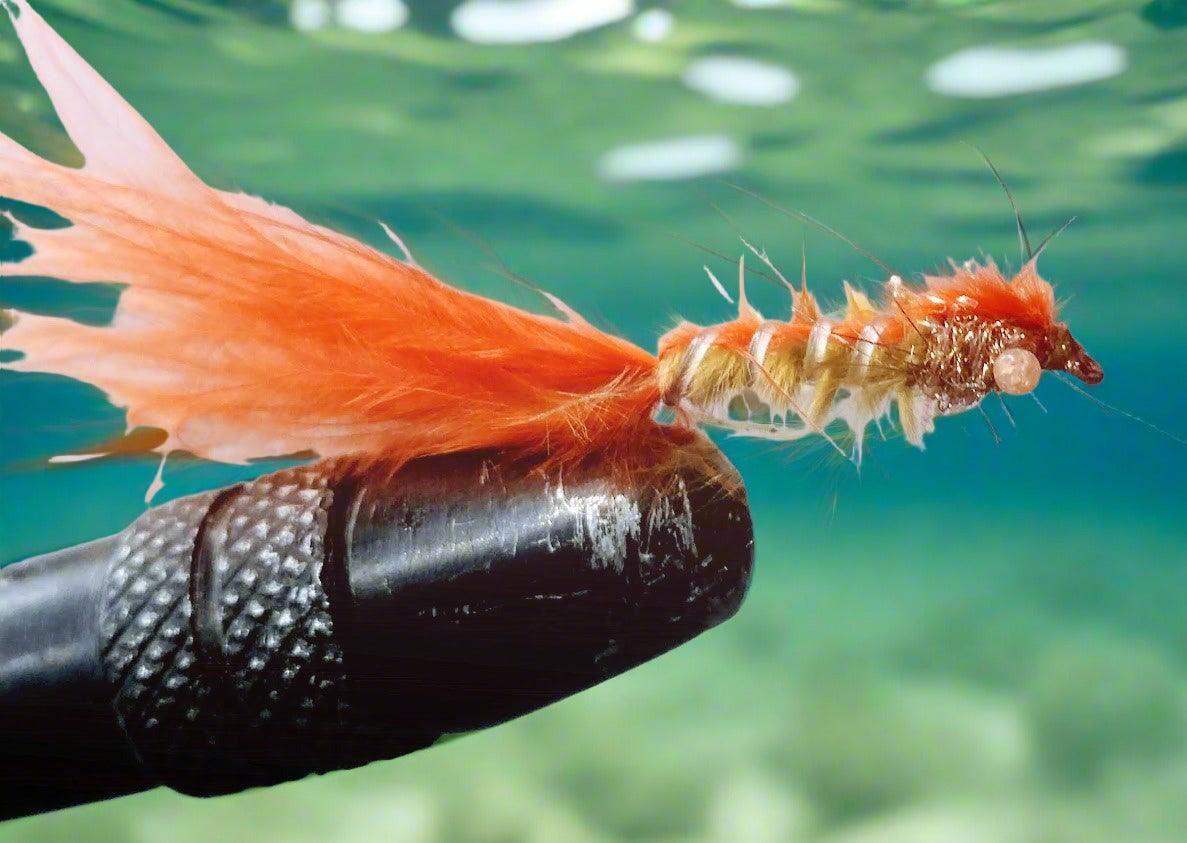 NoNameDamsel_InPixio_1200x1200.jpg?v=1724284413