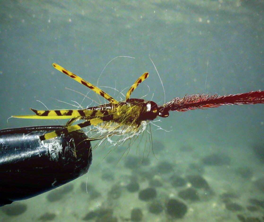 Skwala Stone (3) | Silvereye Flies & Tackle